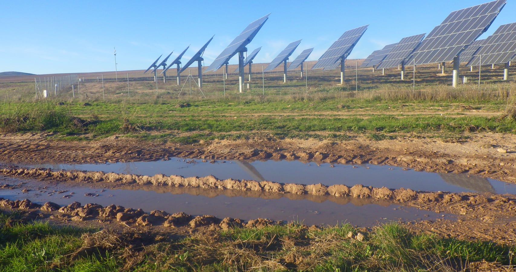 6MW Solar Farm With Wetland Vegetation Planting – American Climate Club